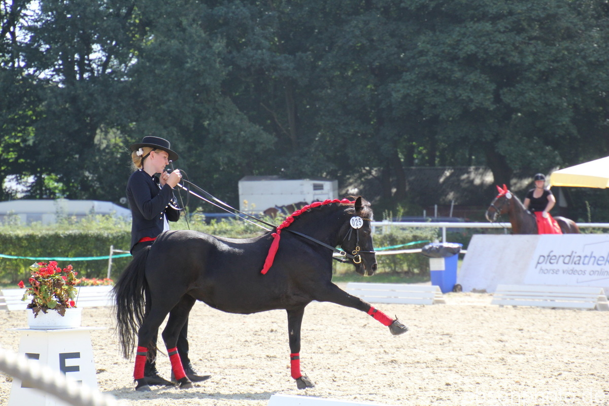 Barock-Reiten | ebsenPHOTO
